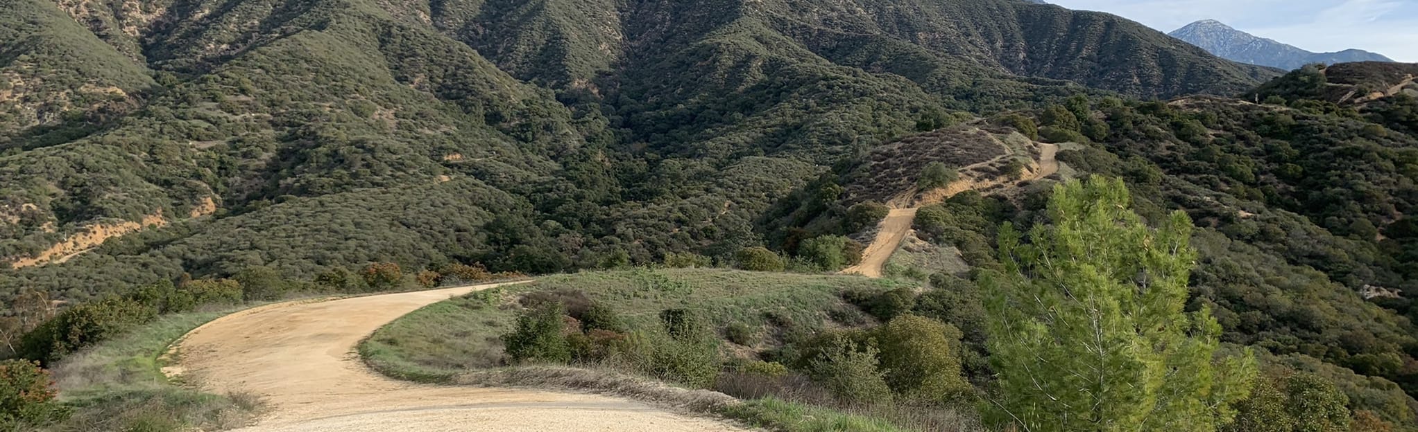 Marshall Canyon Trail, California - 2,437 Reviews, Map | AllTrails