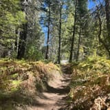 Paradise Valley Trail, California - 480 Reviews, Map | AllTrails