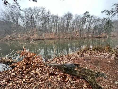 Best Hikes and Trails in Floyds Knobs | AllTrails