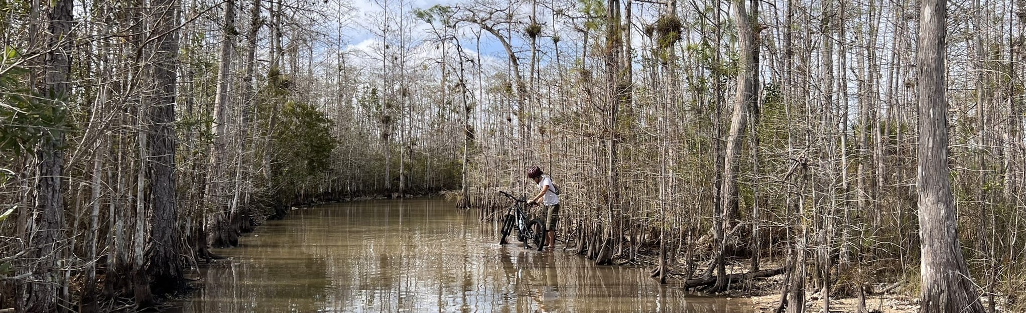 Turner River Unit: Monument Road, Little Deer, Boot Hill West, Florida ...