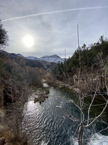 Best Hikes and Trails in Fossil Springs Wilderness | AllTrails