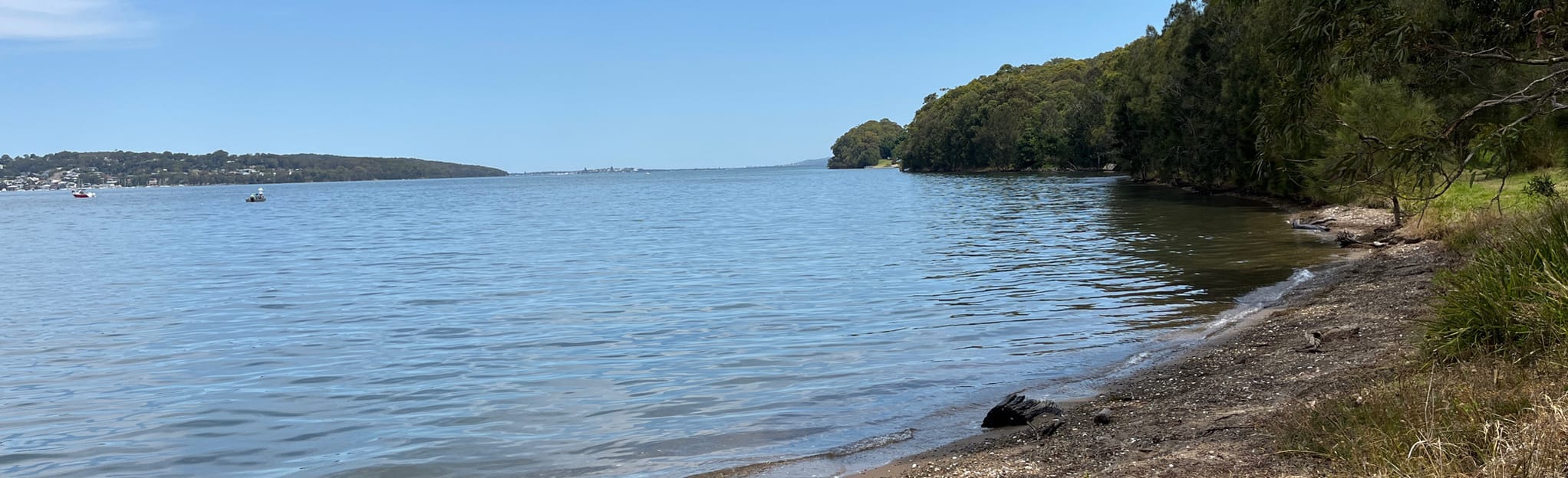 Awaba Bay: 110 Fotos - New South Wales, Australien | AllTrails