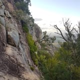 Mount Walsh Walking Track, Queensland, Australia - 193 Reviews, Map ...