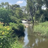 Modderfontein Dam Trail, Gauteng, South Africa - 372 Reviews, Map ...