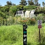 Modderfontein Dam Trail, Gauteng, South Africa - 372 Reviews, Map ...