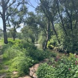 Modderfontein Dam Trail, Gauteng, South Africa - 372 Reviews, Map ...