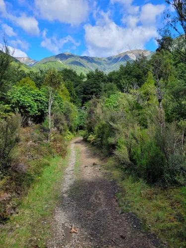 Best 10 Hikes and Trails in Ruahine Forest Park | AllTrails