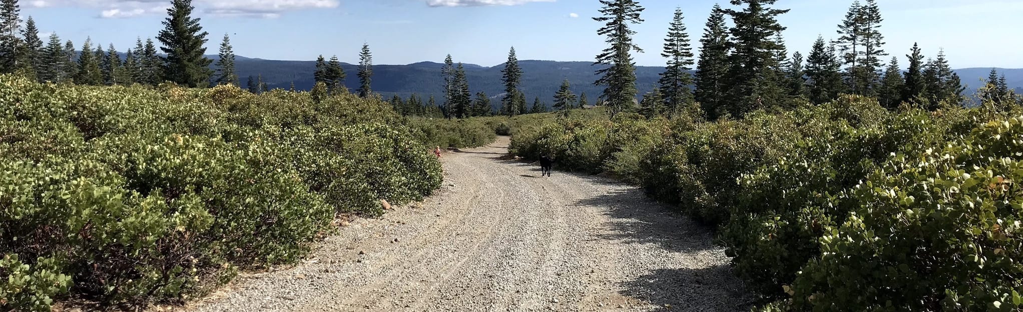 Colby Mountain Fire Lookout - California | AllTrails
