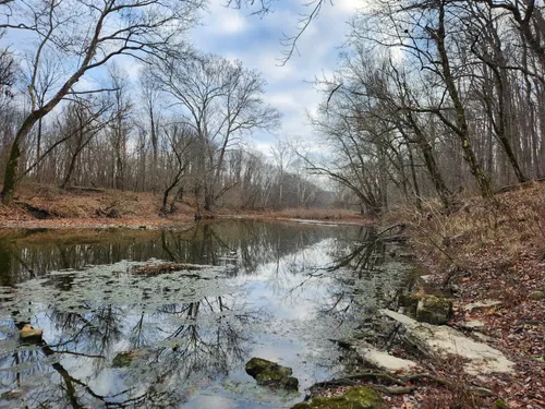 Best Hikes and Trails in Muscatatuck County Park | AllTrails