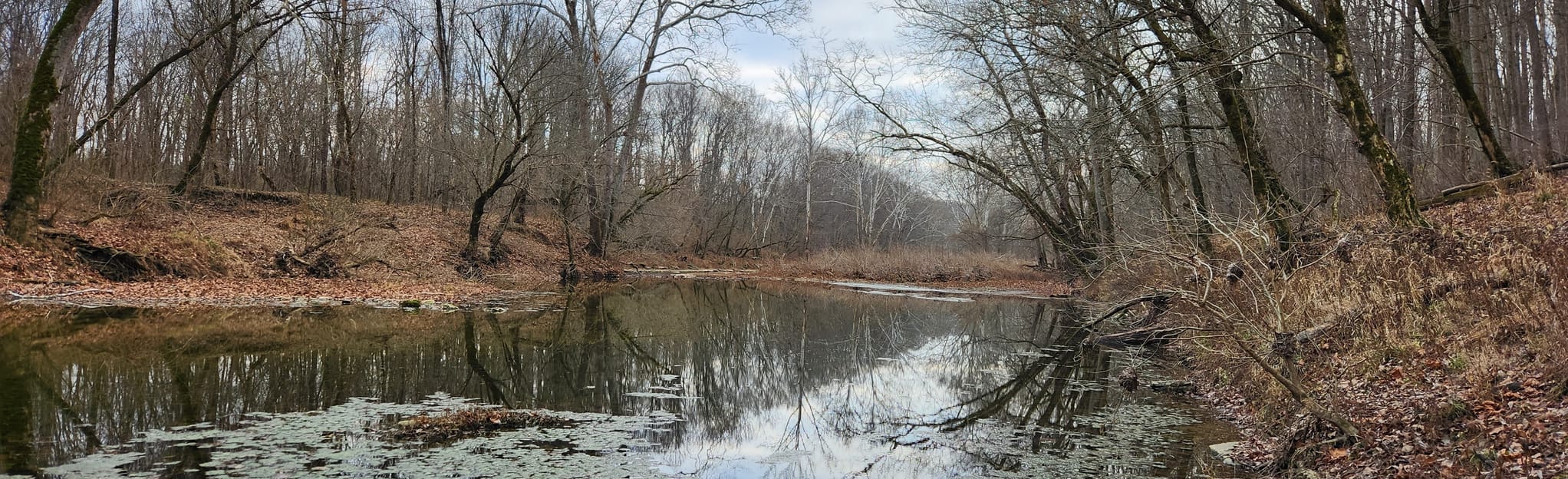 Muscatatuck River, Blue, and Green Trail Loop: 111 Reviews, Map ...