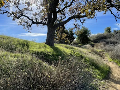 Best Hikes and Trails in Stevenson Ranch | AllTrails