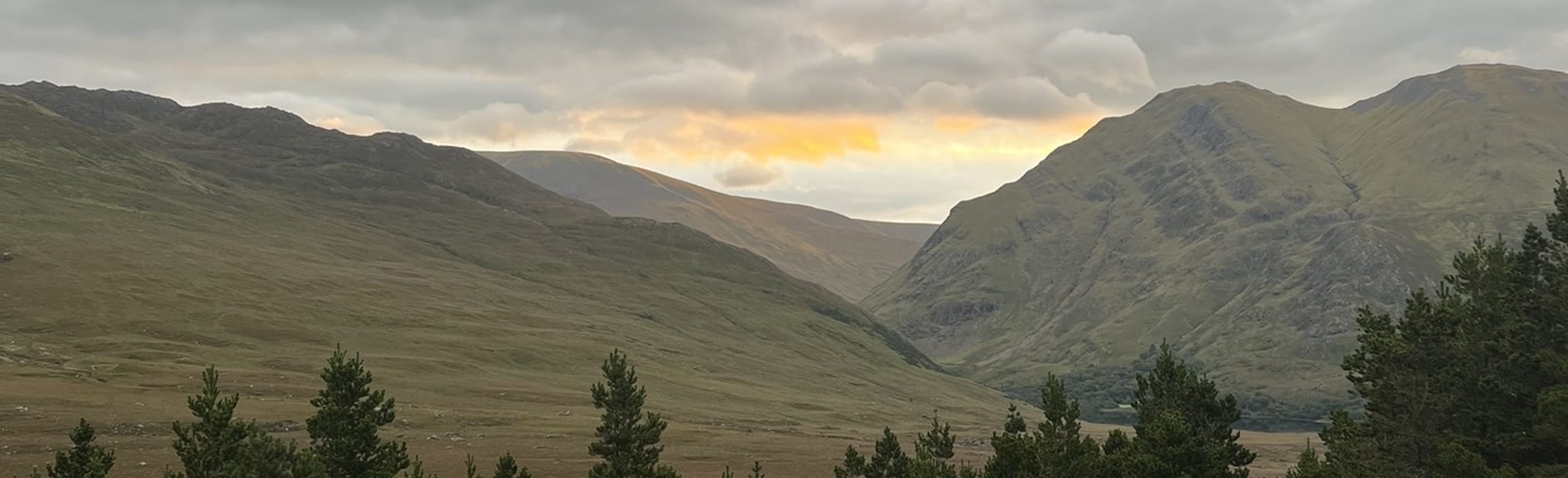 Delphi Forest Walk: 13 Reviews, Map - County Mayo, Ireland | AllTrails