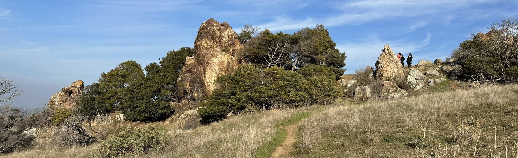 Red Hill Trail and Nike Trail: 312 Reviews, Map - California | AllTrails