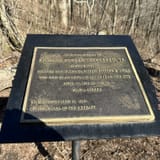 Nimblewill Gap OHV Road, Georgia - 350 Reviews, Map | AllTrails