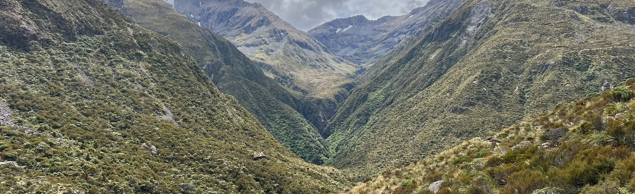 Otira Valley Track, Canterbury, New Zealand - 76 Reviews, Map | AllTrails