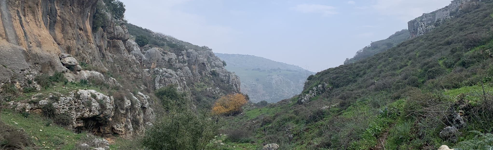 Nahal Dishon, Mount Dishon and Avivim, Northern District HaZafon ...