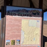 Yellow Knolls Trail, Utah - 379 Reviews, Map | AllTrails