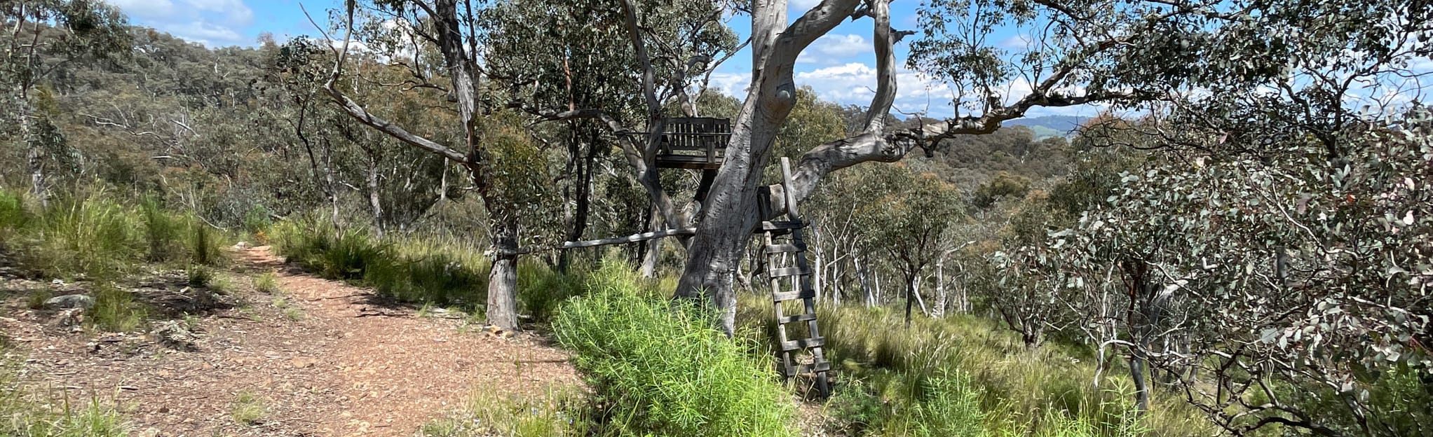 Jerra Mountain Bike Loop: 50 foto's - New South Wales, Australia ...