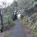 Verna Dunshee Loop, California - 266 Reviews, Map | AllTrails