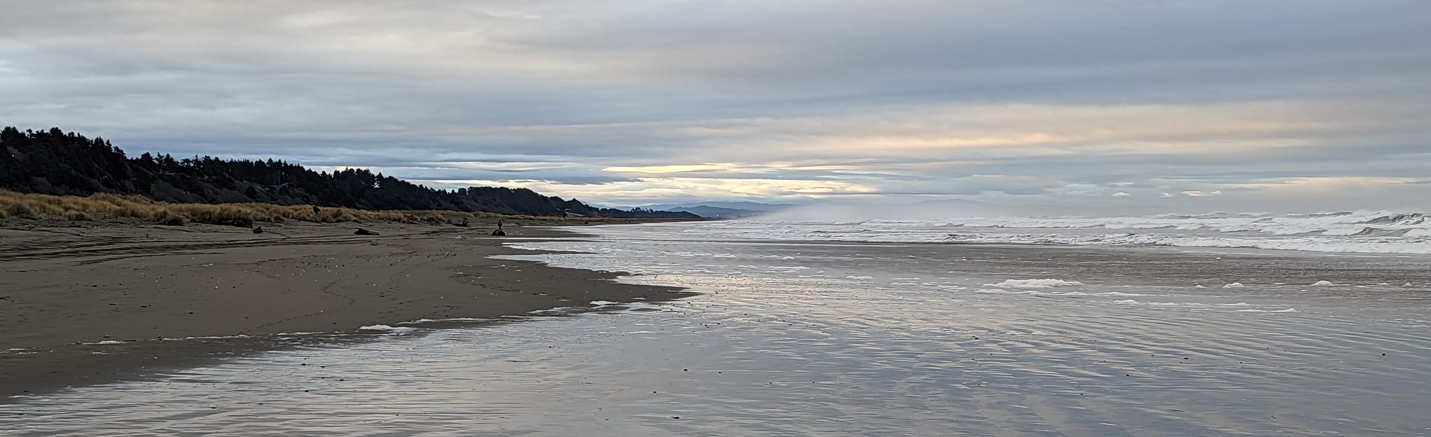 Clam Beach to Little River, California - 51 Reviews, Map | AllTrails