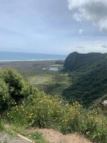 10 Best Beach Trails in Waitakere Ranges Regional Park | AllTrails