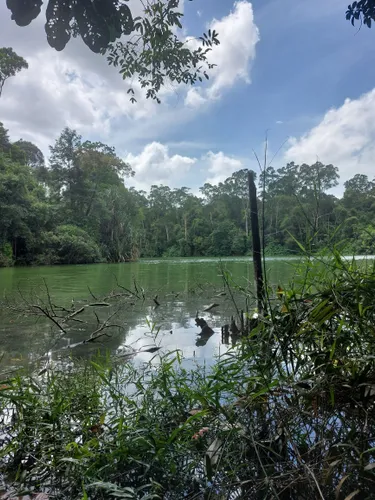 10 Best Hikes and Trails in Chestnut Nature Park | AllTrails