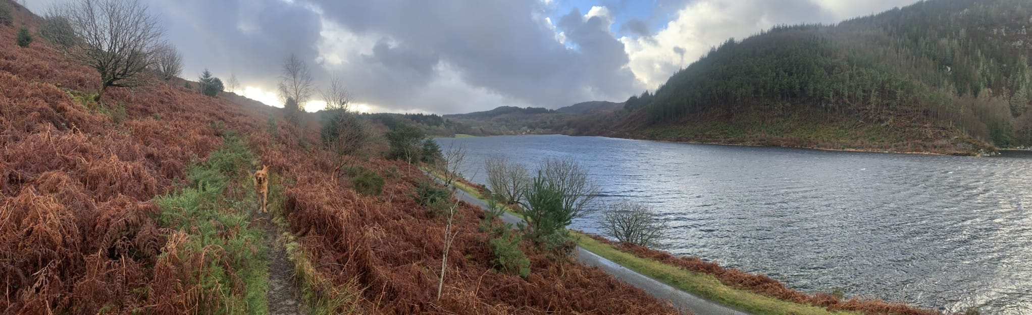 Llyn Crafnant to Llyn Geirionydd Circular, Conwy, Wales - 34 Reviews ...