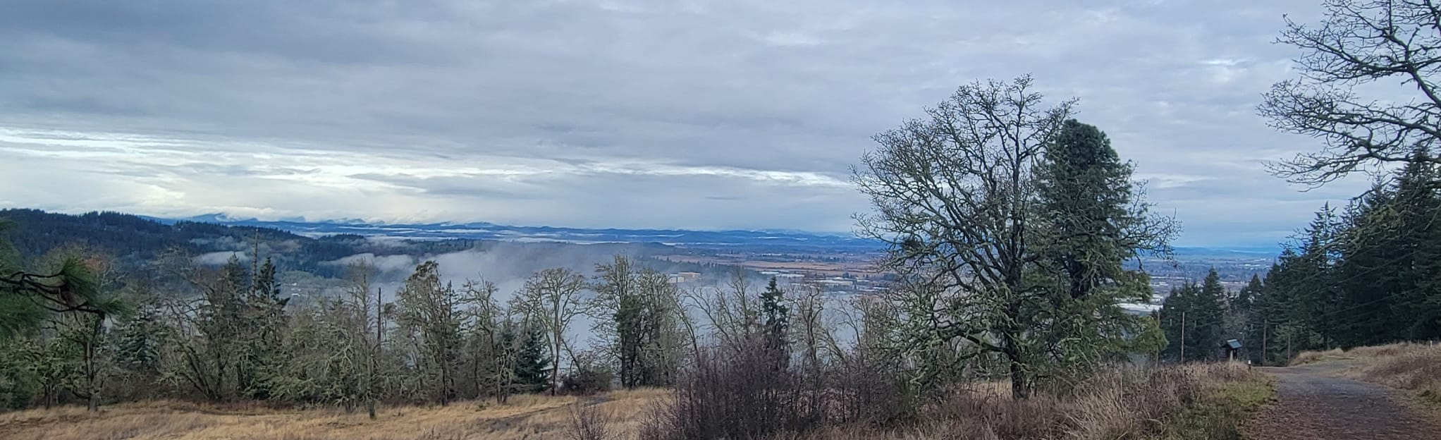 Wild Iris Ridge Loop from Summit Sky Boulevard: 152 Reviews, Map ...