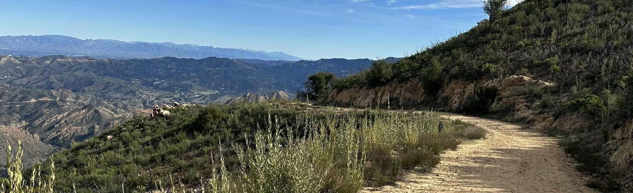 AllTrails | Castro Motorway to Castro Peak Lookout: 53 Reviews, Map ...