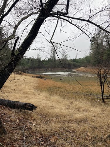 Best Hikes and Trails in Redcliffe Plantation State Historic Site ...