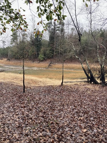 Best Hikes and Trails in Redcliffe Plantation State Historic Site ...