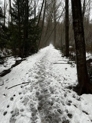 Best Hikes and Trails in Colebrook Park | AllTrails