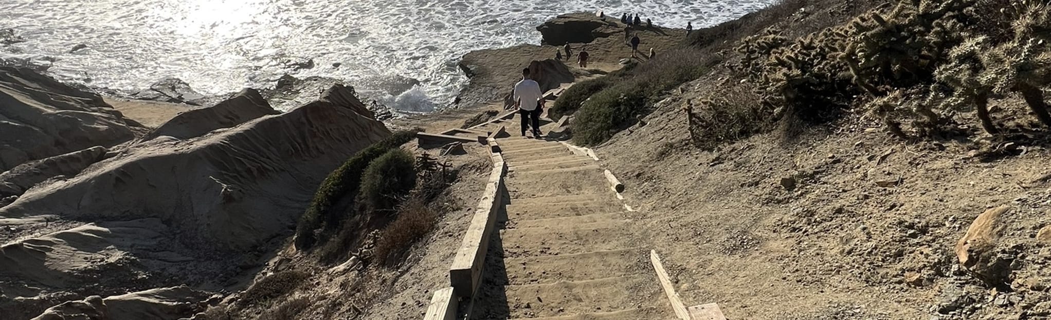 Point Loma Tidepools and Coastal Trail: 517 Reviews, 580 Photos, Map ...