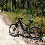 Mogo MTB Loop, New South Wales, Australia - 10 Reviews, Map | AllTrails