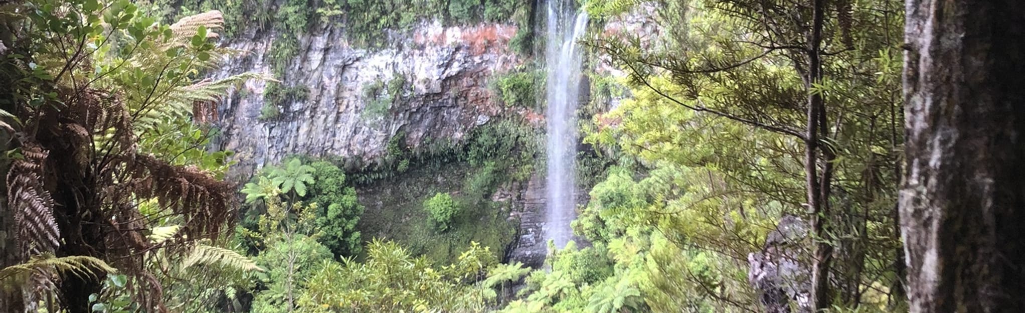 Tupapakurua Falls Track, Manawatu-Wanganui, New Zealand - 64 Reviews ...