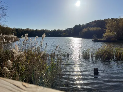 10 Best Trails, Walks, and Paths in Ormskirk | AllTrails