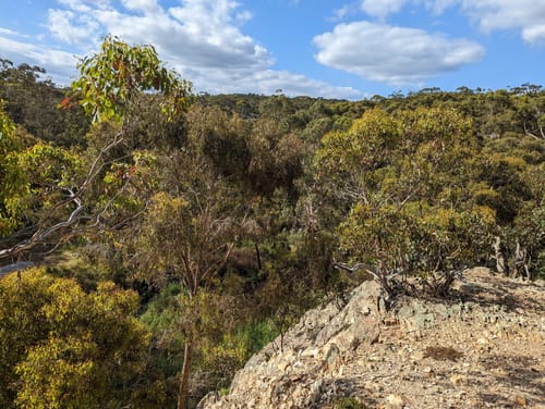 Best Hikes and Trails in Long Forest Fauna and Flora Reserve | AllTrails