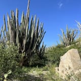 Jamanota Trail, Aruba, Aruba - 54 Reviews, Map | AllTrails