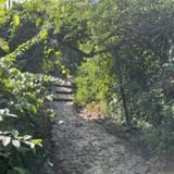 Jamanota Trail, Aruba, Aruba - 54 Reviews, Map | AllTrails