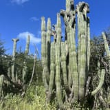 Jamanota Trail, Aruba, Aruba - 54 Reviews, Map | AllTrails