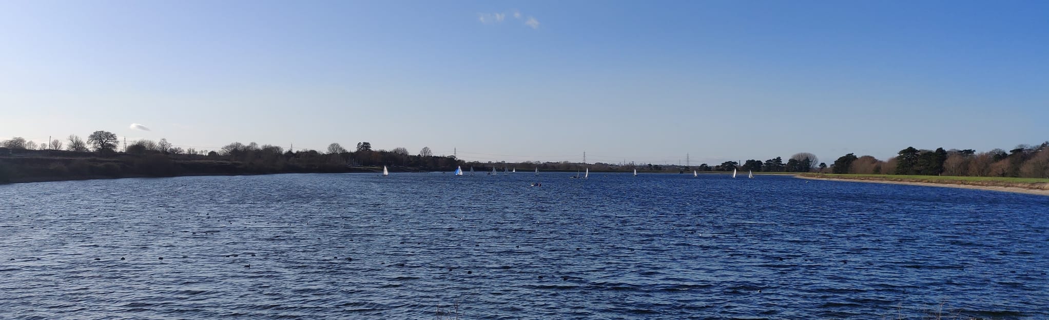 Shustoke Reservoir to Dumble Wood Circular, 60 Fotos - West Midlands ...