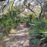 Boardman Pond Observation Platform Trail, Florida - 74 Reviews, Map ...