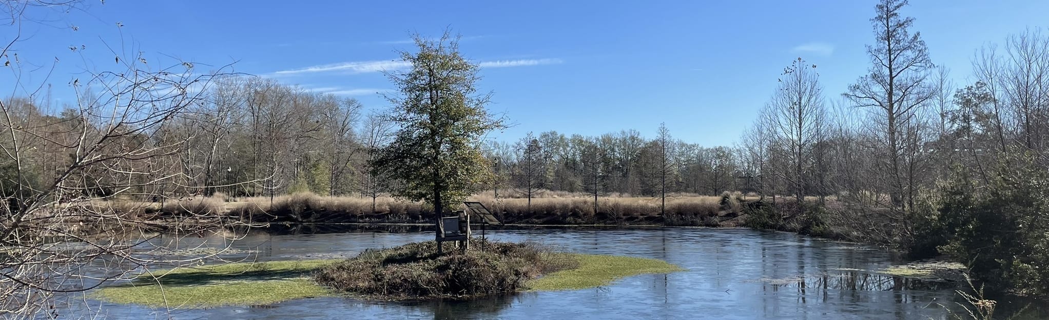 Brick Pond Park, South Carolina - 98 Reviews, Map | AllTrails