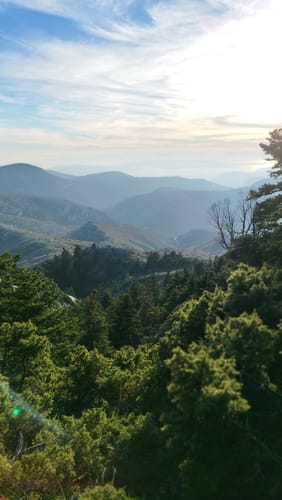 Best 10 Hikes and Trails in Mount Parnitha National Park | AllTrails