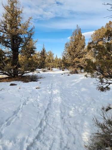 Best Hikes and Trails in Cline Buttes Recreation Area | AllTrails