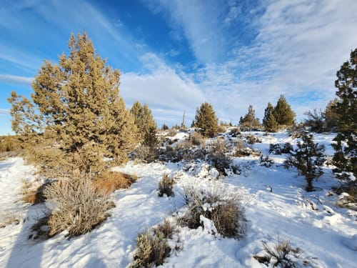 Best Hikes and Trails in Cline Buttes Recreation Area | AllTrails