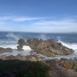 Asilomar State Beach and Coast Trail, California - 756 Reviews, Map ...