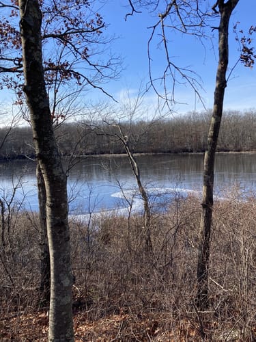 2023 Best Long Trails in Douglas State Forest | AllTrails