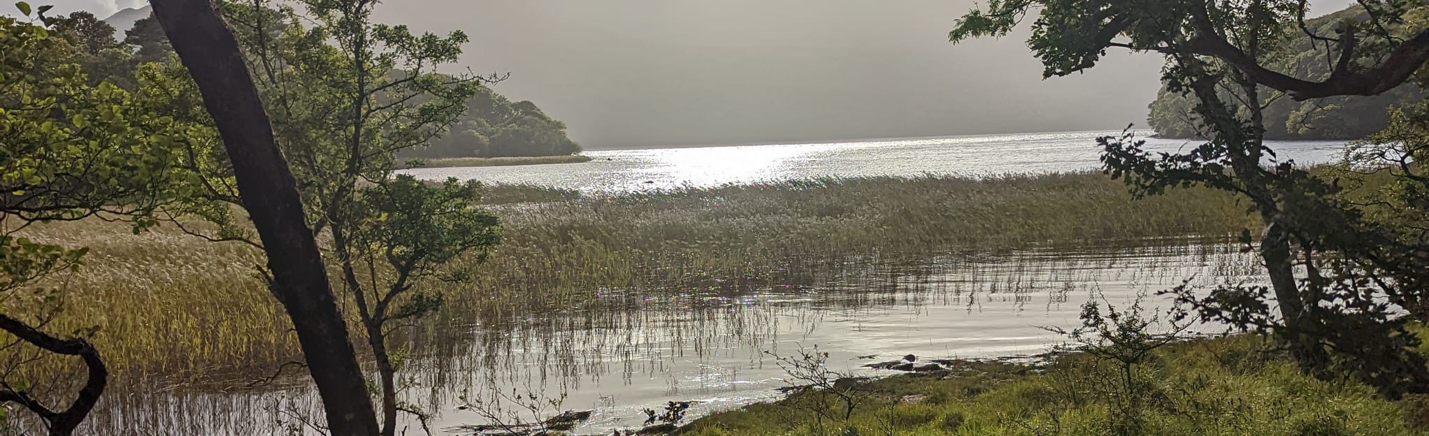 Ross Castle Loop: 242 Reviews, Map - County Kerry, Ireland | AllTrails