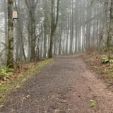 Cooks Butte Loop, Oregon - 399 Reviews, Map | AllTrails